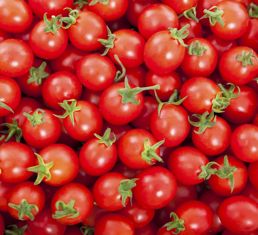 Rio Fuego Tomato Seeds | Heirloom | Non-gmo | Fresh Garden Seeds - Etsy