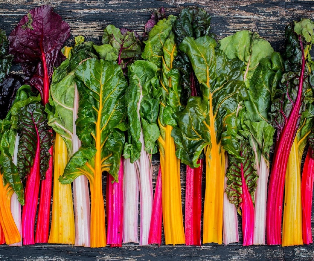Rainbow Swiss Chard Seeds | Heirloom | Non-gmo | Fresh Garden Seeds - Etsy