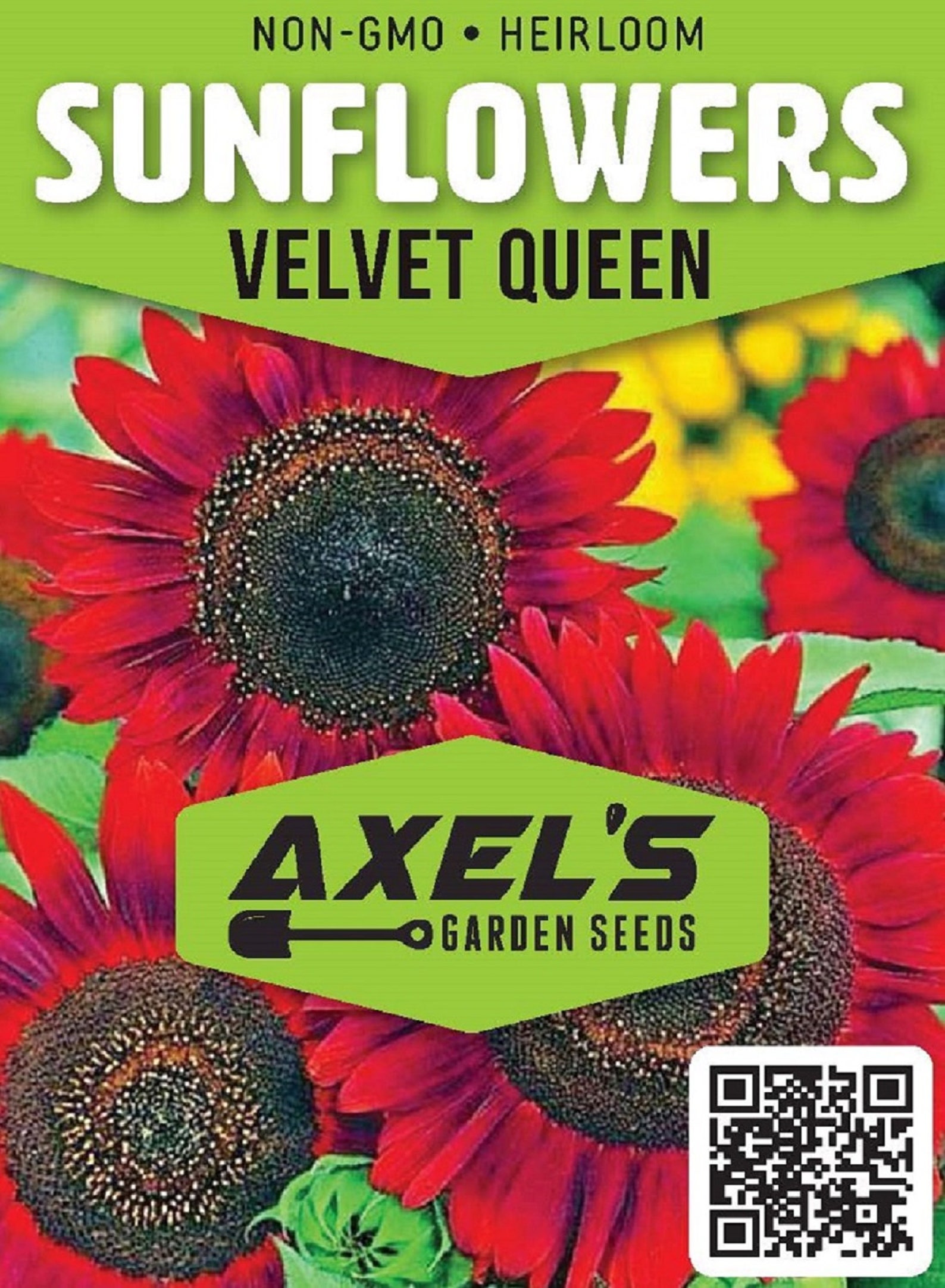 Velvet Queen Sunflower Seeds Heirloom Annual Flower Seeds to - Etsy