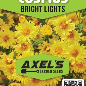 Cosmo Bright Light Flower Seeds | Non-gmo | Heirloom | Fresh Garden ...