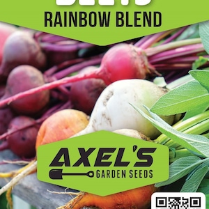 Rainbow Blend Beet Seeds | Heirloom & Non-gmo | Fresh Gardening Seeds ...