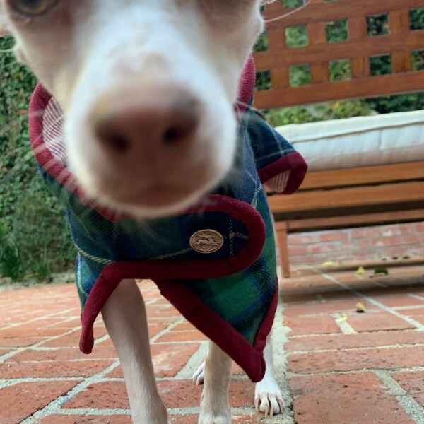 Pendleton Dog Coat - Etsy