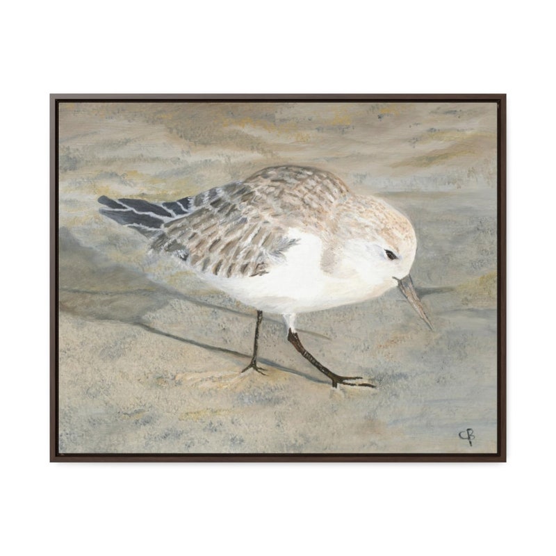 Sandpiper Canvas Art - Etsy