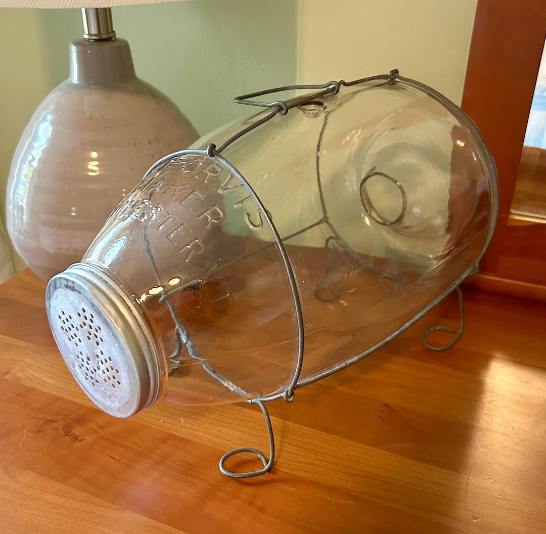 Minnow Trap, Vintage Minnow Trap, C F Orvis Minnow Trap, Glass Orvis ...