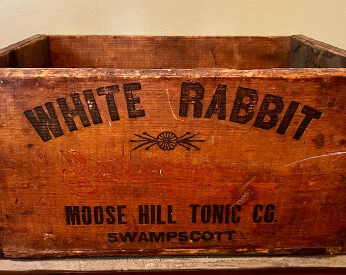 White Rabbit, Moose Hill Tonic Co., Swamscott, Vintage White Rabbit ...