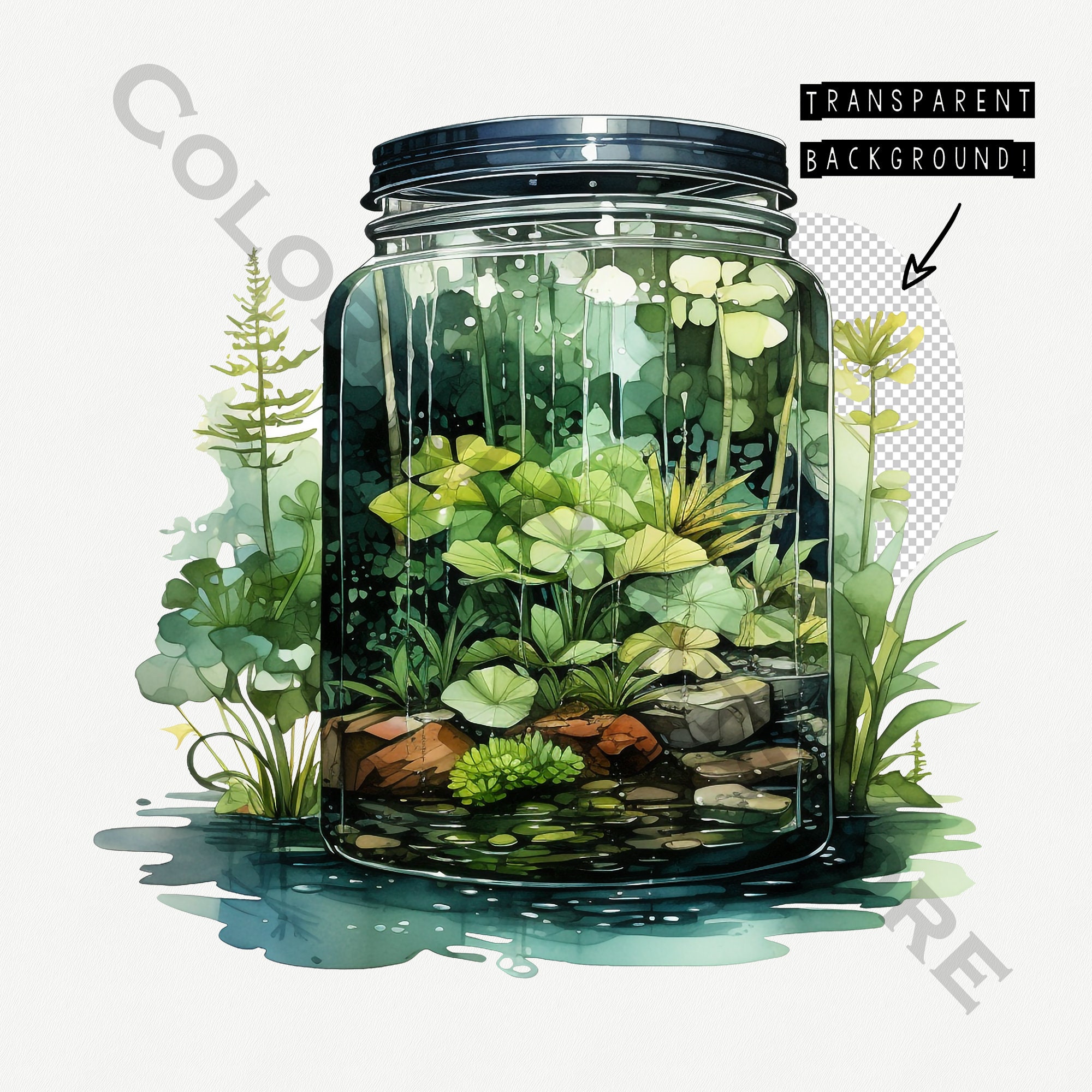 Watercolor Pond Jar Clip Art Bundle Pond in a Jar PNG Watercolor Pond ...