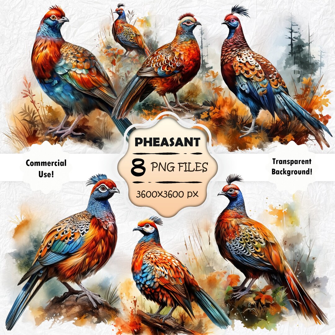 Watercolor Pheasant Painting, Fall Pheasant Prints, Autumn Pheasant PNG ...