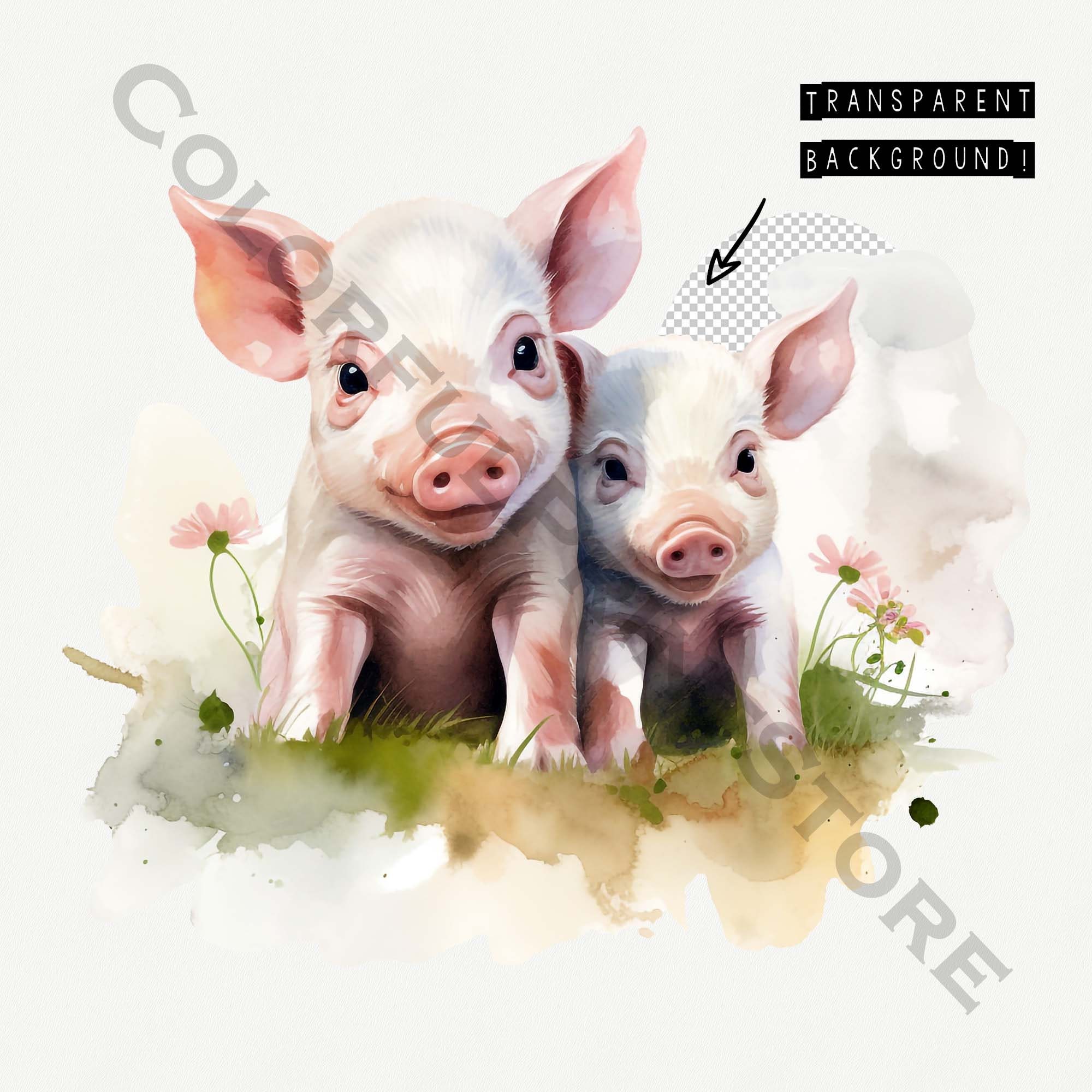 Watercolor Pigs Clipart Bundle Cute Pigs Print Adorable Pigs - Etsy