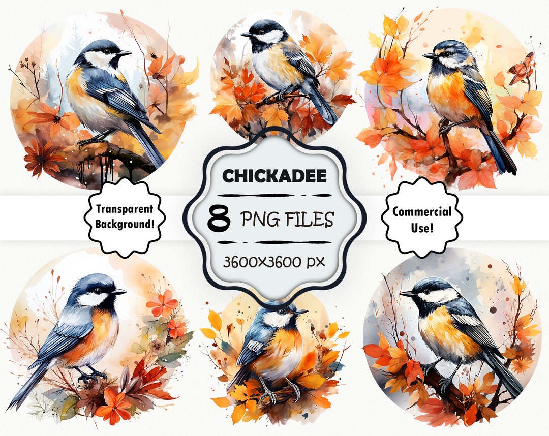 Watercolor Chickadee PNG, Autumn Chickadee Clipart Bundle, Fall ...