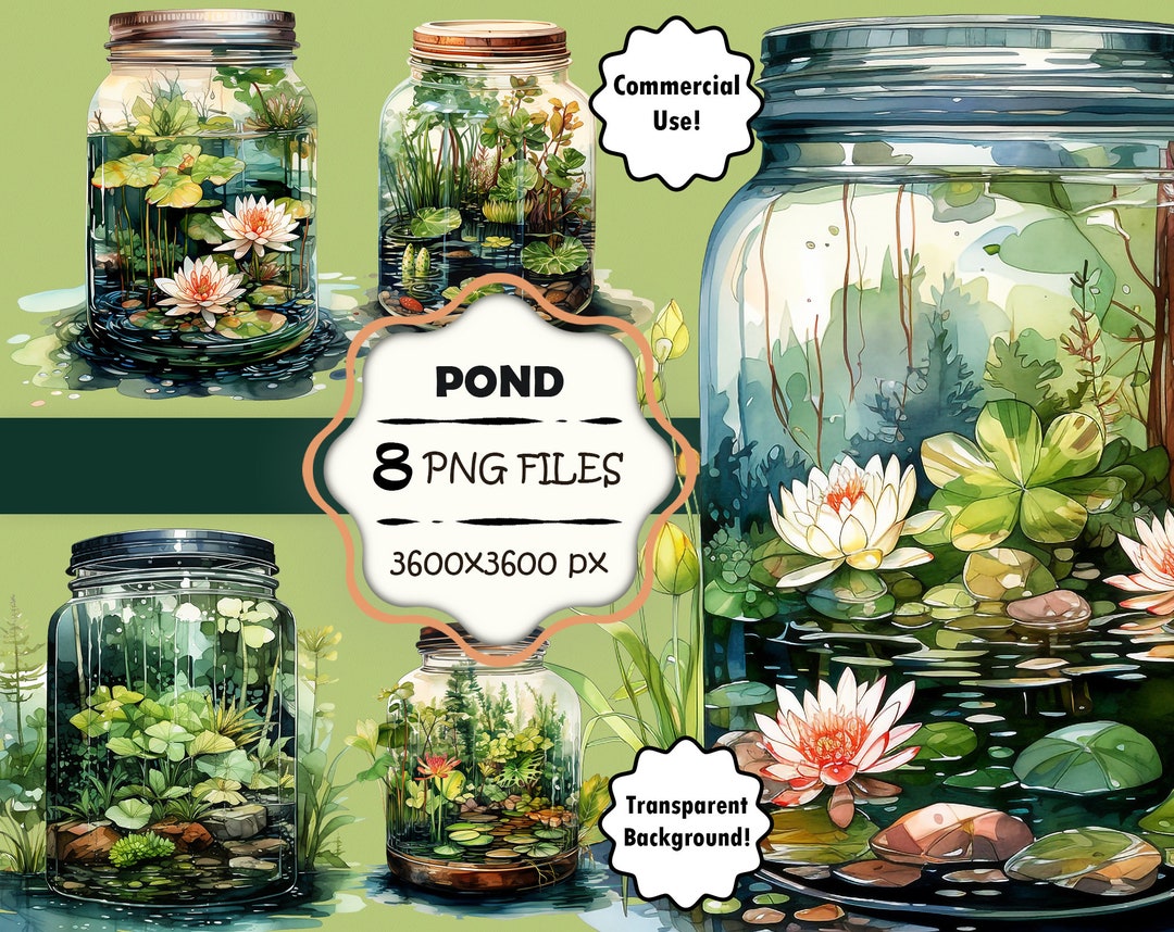 Watercolor Pond Jar Clip Art Bundle Pond in a Jar PNG Watercolor Pond ...