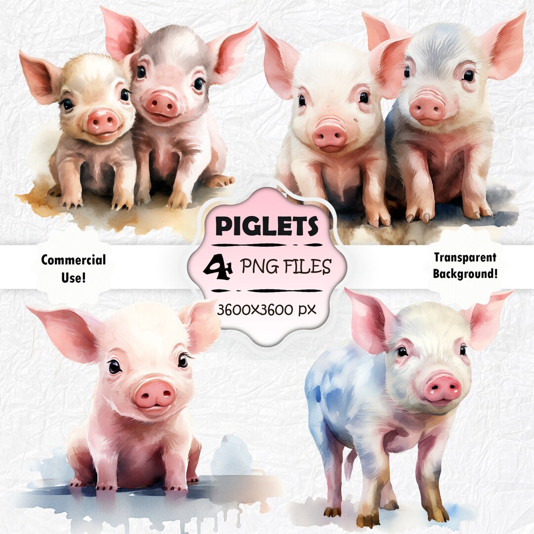 Watercolor Piglet Clipart Set, Watercolor Pig PNG Bundle, Adorable Pig ...