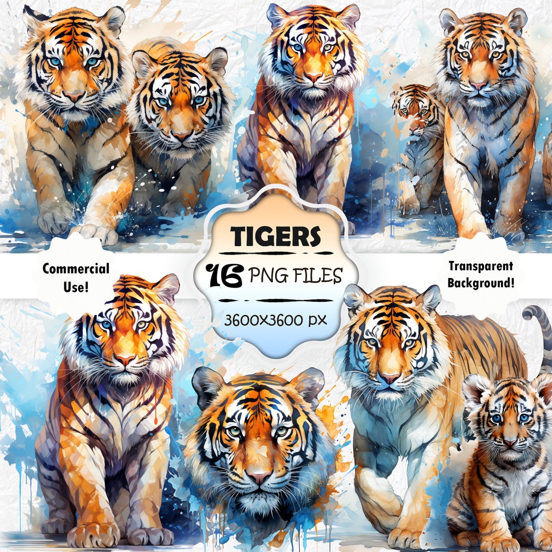 Watercolor Tiger Clipart Bundle, Baby Tiger PNG Set, Cute Tiger ...
