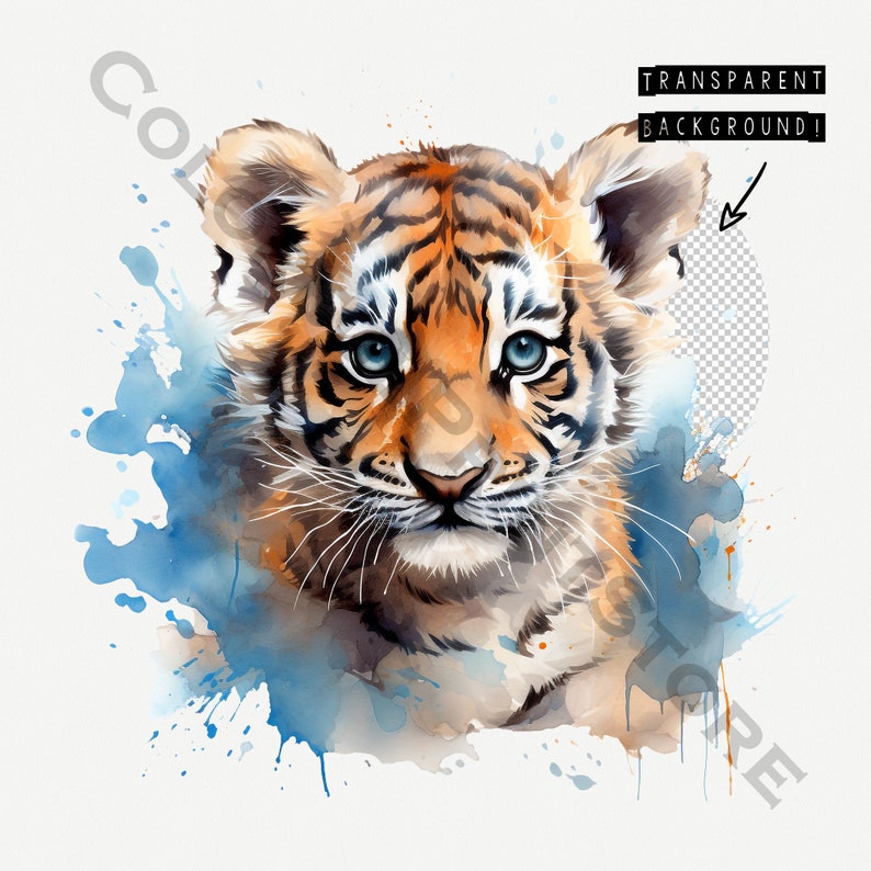 Watercolor Tiger Cub Clipart Set, Baby Tiger Printable Art, Watercolour ...