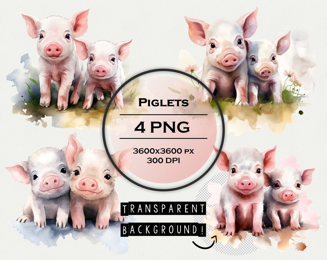 Watercolor Pigs Clipart Bundle Cute Pigs Print Adorable Pigs - Etsy