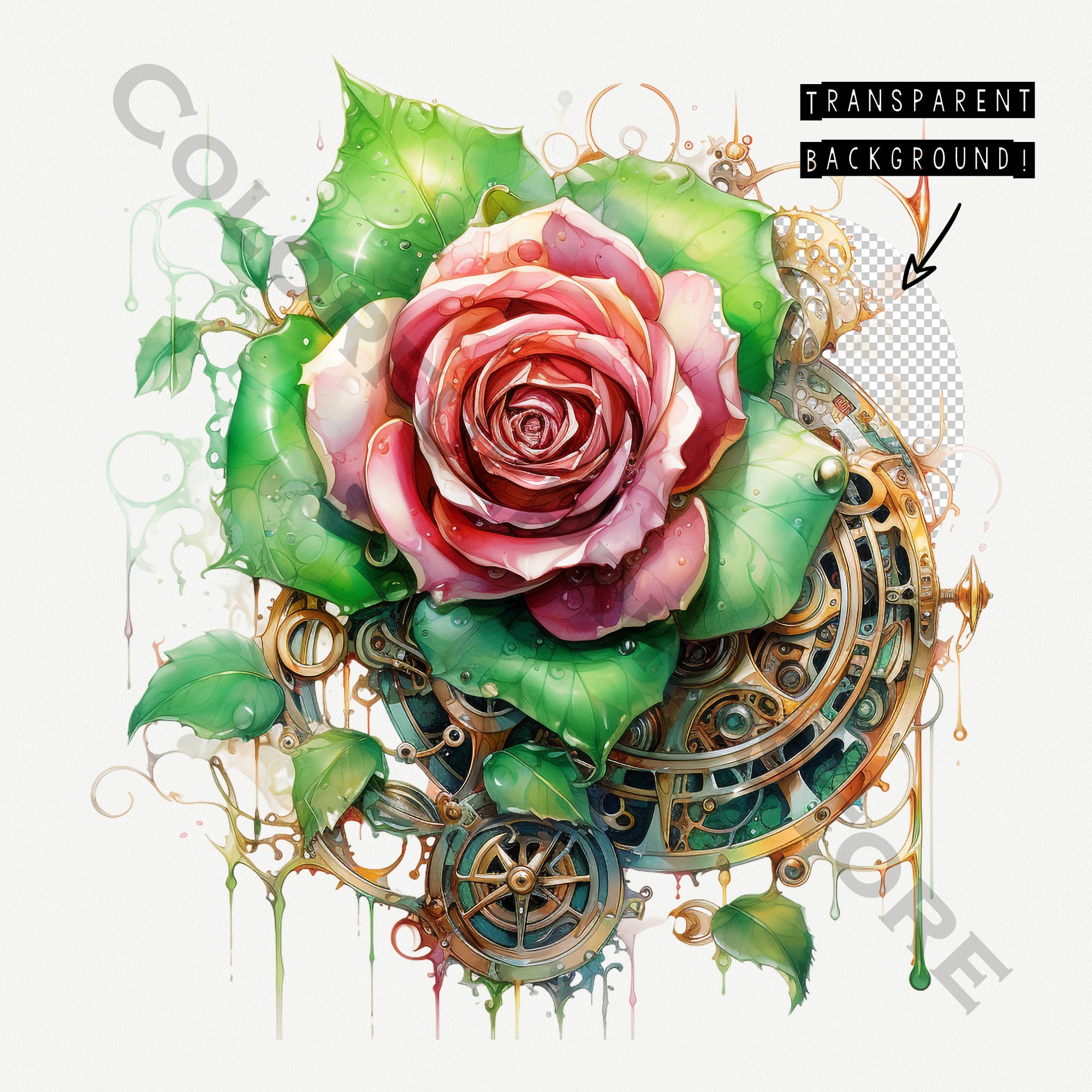 Watercolor Steampunk Flowers Clipart Bundle Mechanical Flowers PNG ...