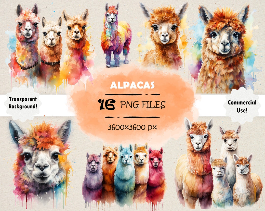 Watercolor Alpaca Clipart Bundle Colorful Alpaca PNG Set Original ...