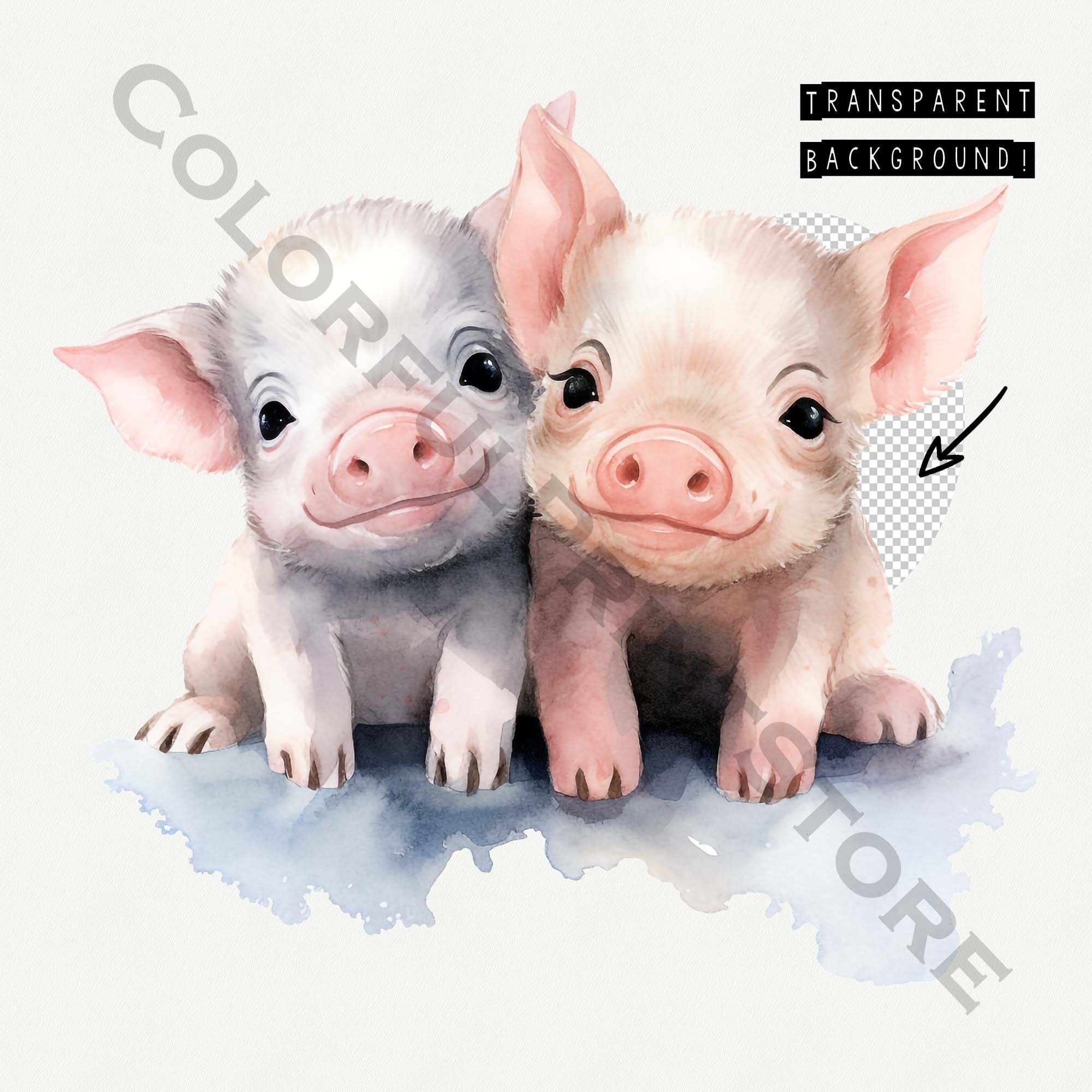 Watercolor Pigs Clipart Bundle Cute Pigs Print Adorable Pigs - Etsy