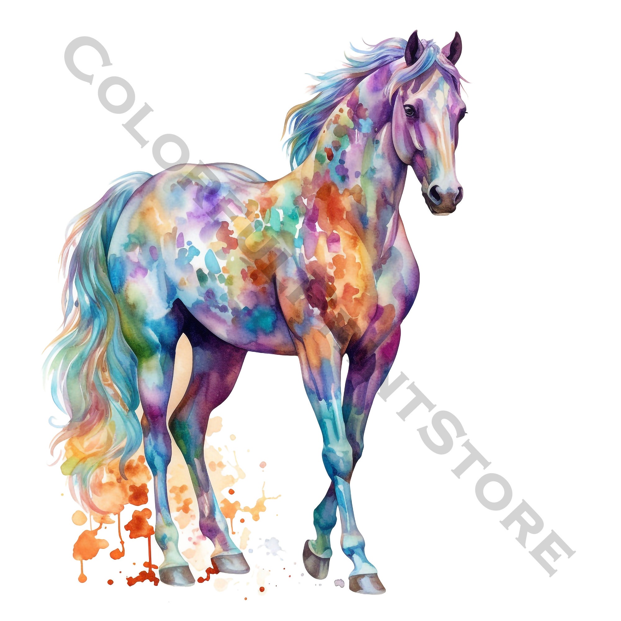Watercolor Rainbow Horse Clipart Horses Print 16 High Quality - Etsy ...