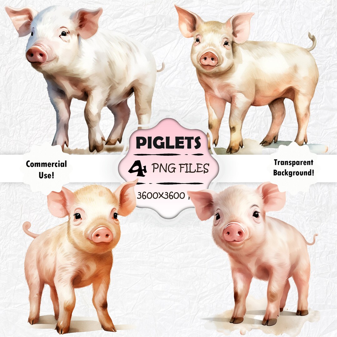 Watercolor Pig Clipart Bundle, Cute Piggy Clip Art, Baby Pig PNG Set ...