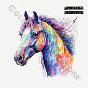 Watercolor Rainbow Horse Clipart Horses Print Rainbow Horse PNG Digital ...