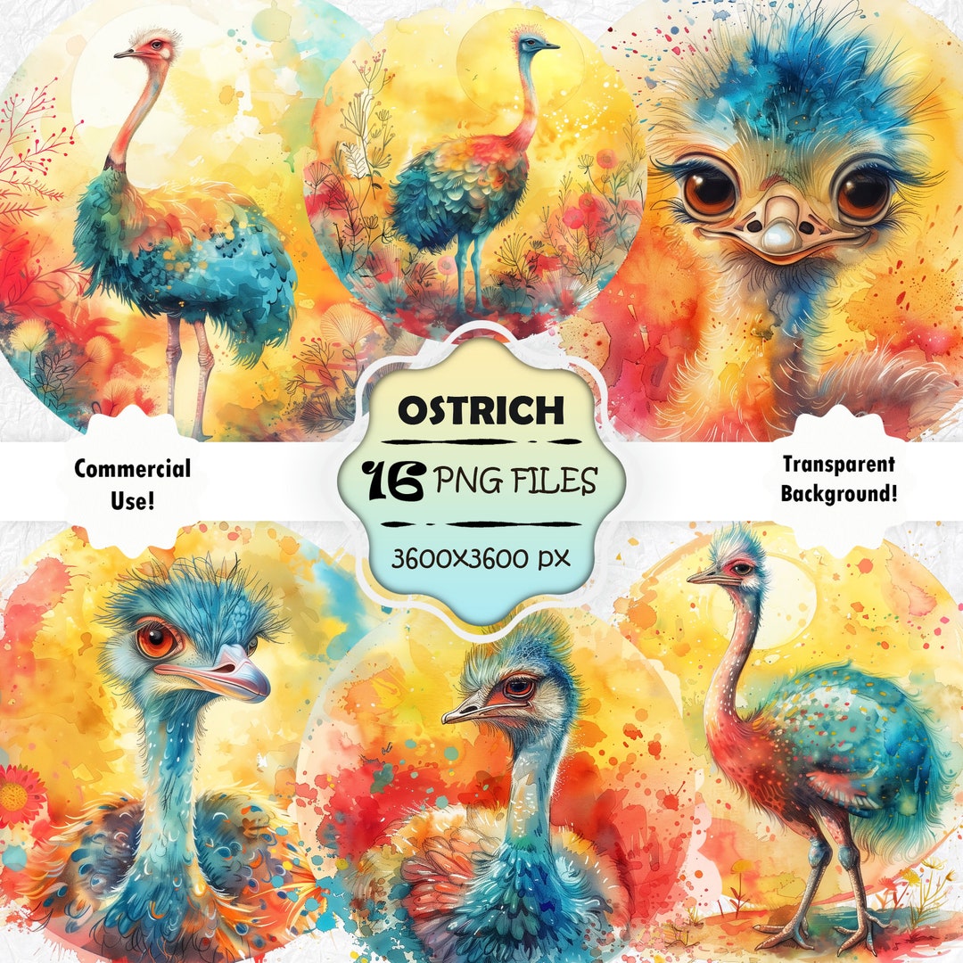 Watercolor Ostrich Painting, Colorful Ostrich Prints, Cute Ostrich PNG ...