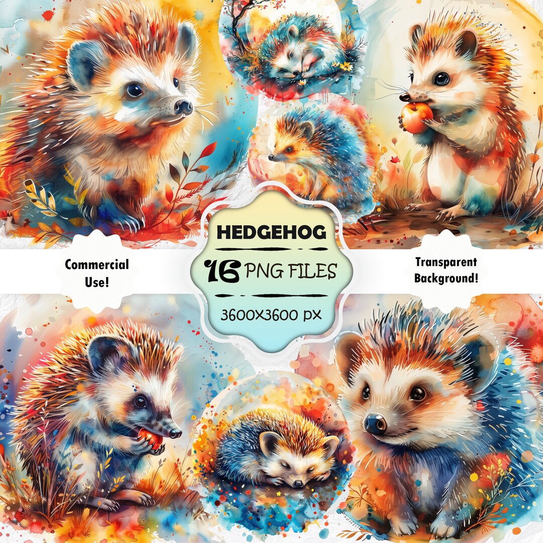 Watercolor Hedgehog Painting, Cute Hedgehog Prints, Summer Hedgehog PNG ...