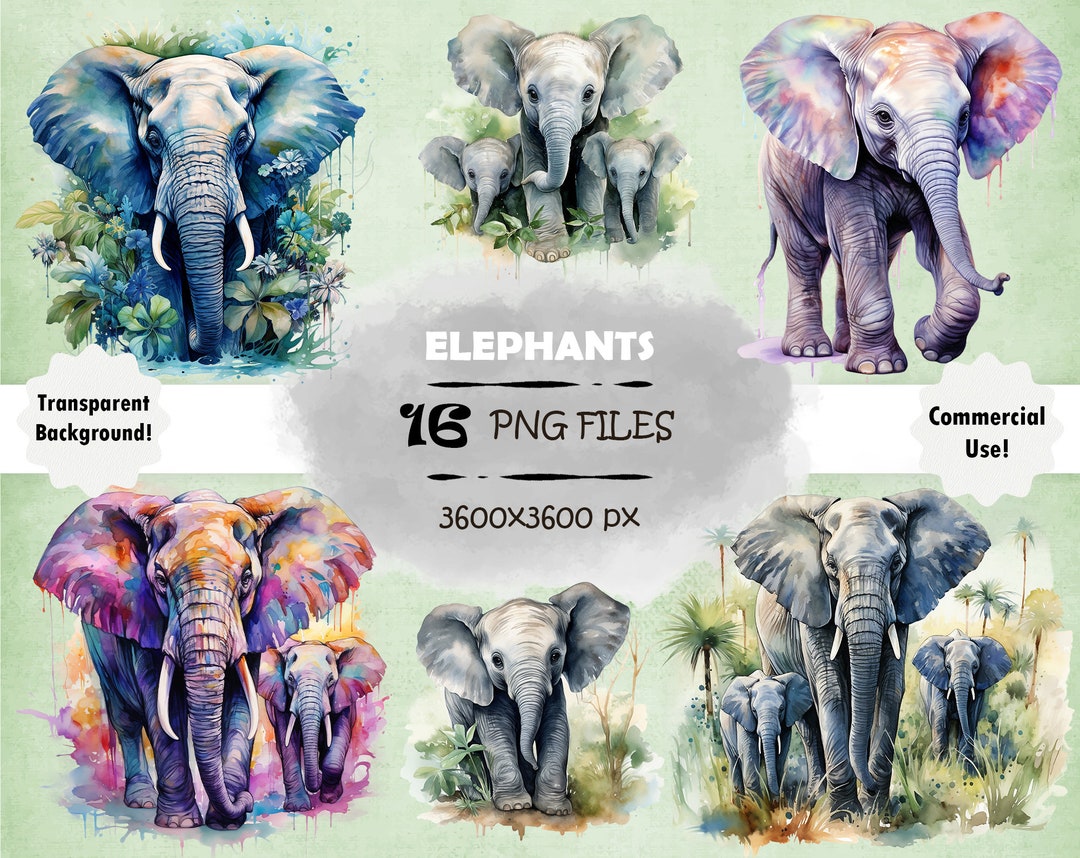 Watercolor Elephant Clipart Bundle Colorful Elephants PNG Set ...