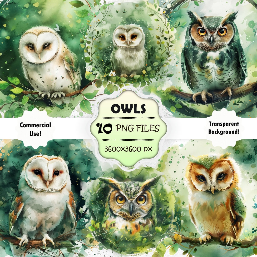 Watercolor Owl Clipart Bundle, White Owl PNG Set, Spring Owl Painting ...
