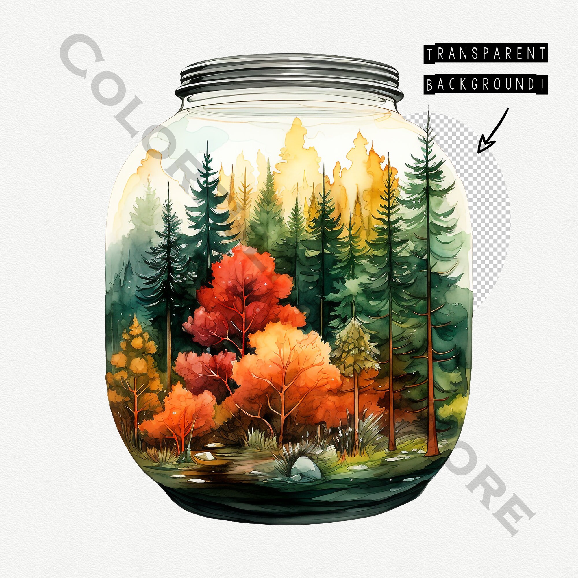 Watercolor Autumn Forest Clip Art Bundle Autumn in a Jar PNG Watercolor ...