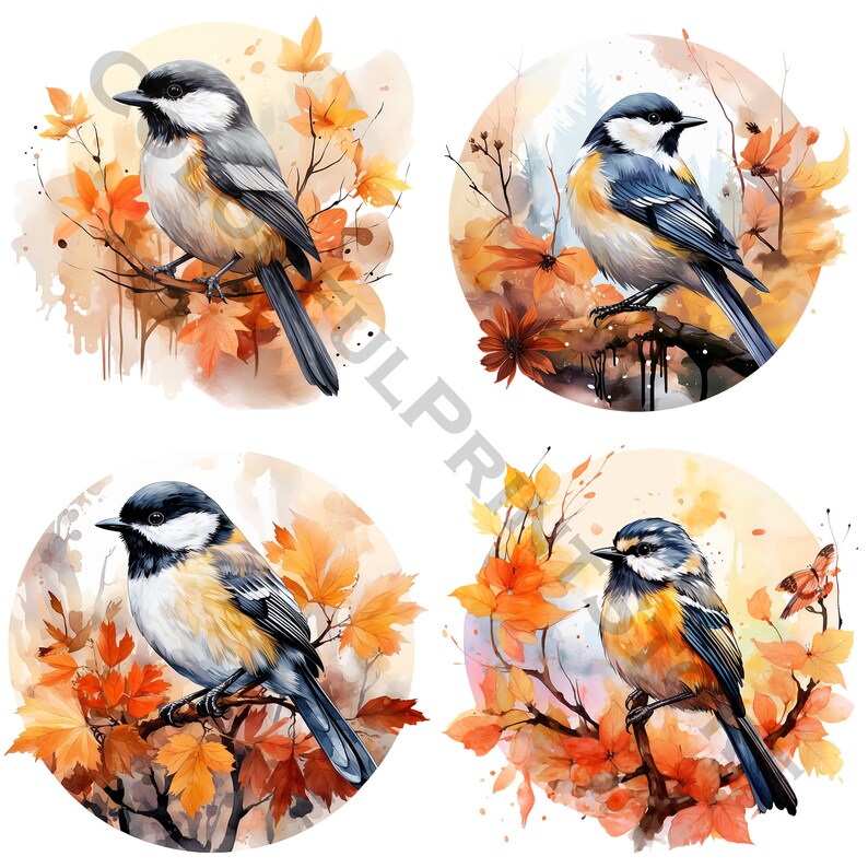 Watercolor Chickadee PNG, Autumn Chickadee Clipart Bundle, Fall ...