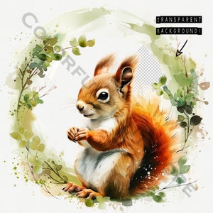 MEGA SET Spring Animals Clipart Bundle, Watercolor Animals PNG Set ...