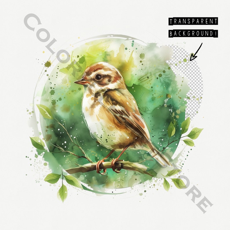 Watercolor Lark Clipart Bundle, Cute Lark PNG Set, Spring Lark Painting ...