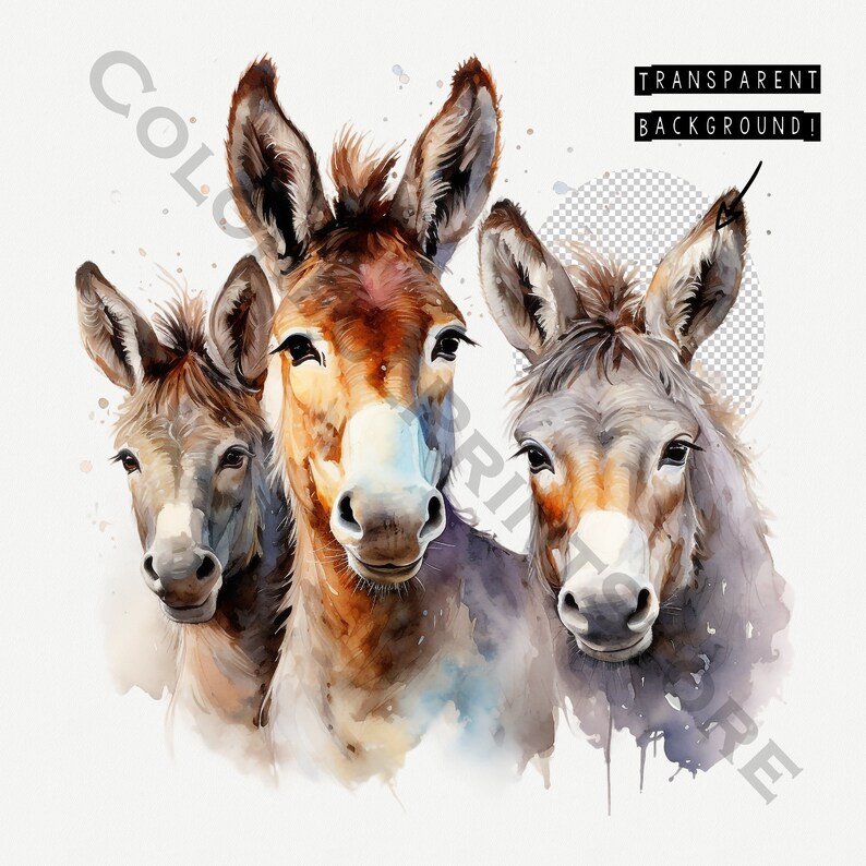 Watercolor Donkey Clipart Bundle Baby Donkey PNG Set Watercolor Donkey Wall Art Donkey Scrapbook ...