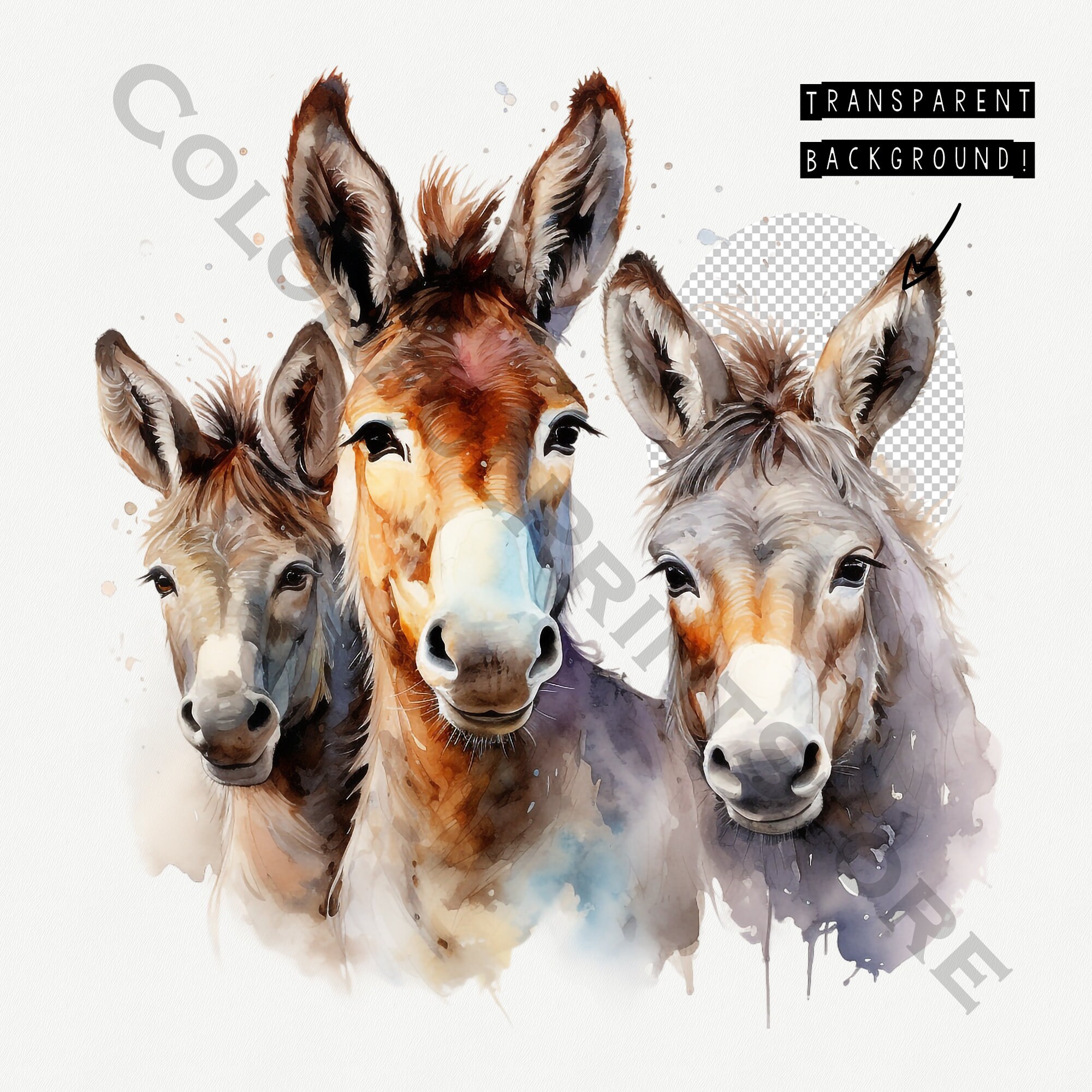 Watercolor Donkey Clipart Bundle Baby Donkey PNG Set Watercolor Donkey ...