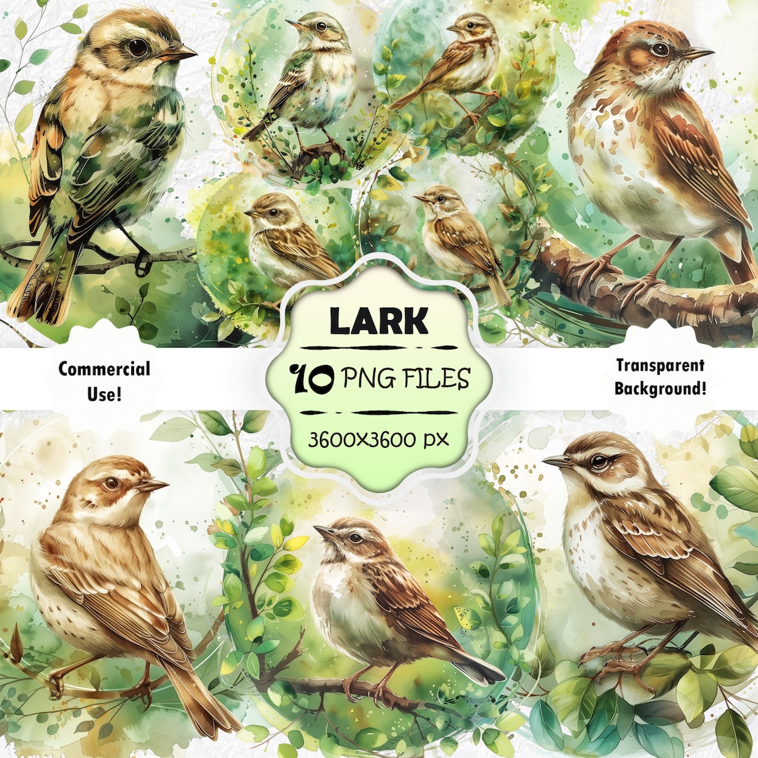 Watercolor Lark Clipart Bundle, Cute Lark PNG Set, Spring Lark Painting ...