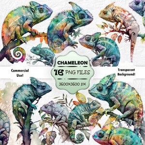 Watercolor Chameleon Clipart Bundle, Colorful Chameleon Print, Aquarell ...