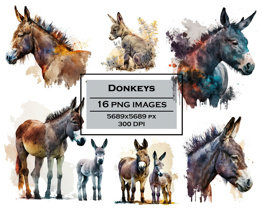 Acuarela Burro Clipart Burros Imprimir Arte Animal 16 PNGs de - Etsy México