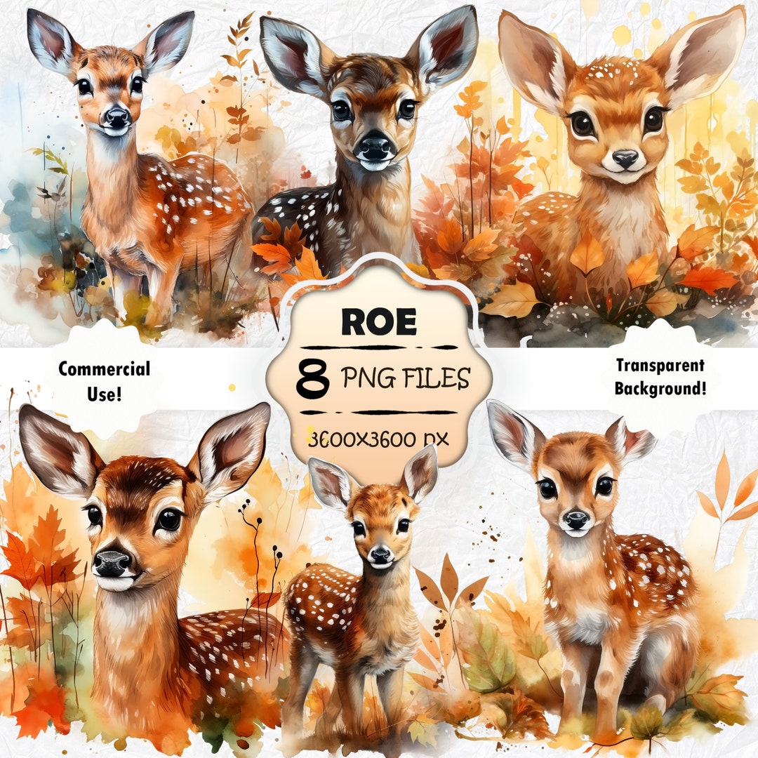 Watercolor Roe Painting, Fall Roe PNG Set, Cute Roe Prints, Junk ...