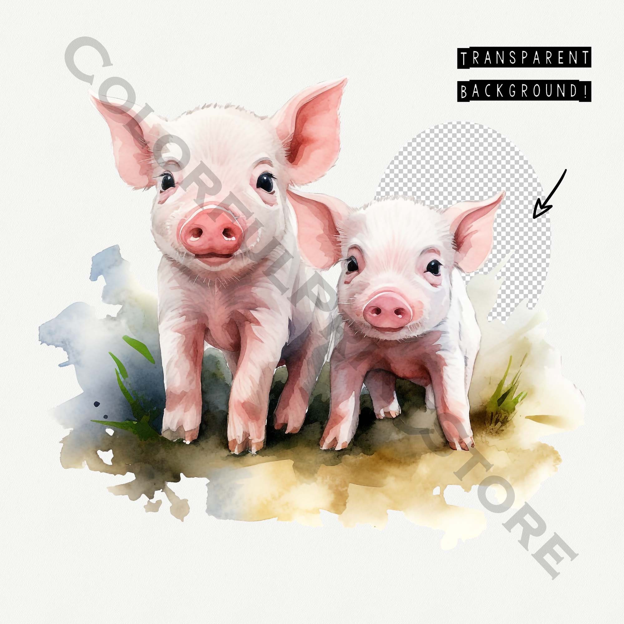 Watercolor Pigs Clipart Bundle Cute Pigs Print Adorable Pigs - Etsy