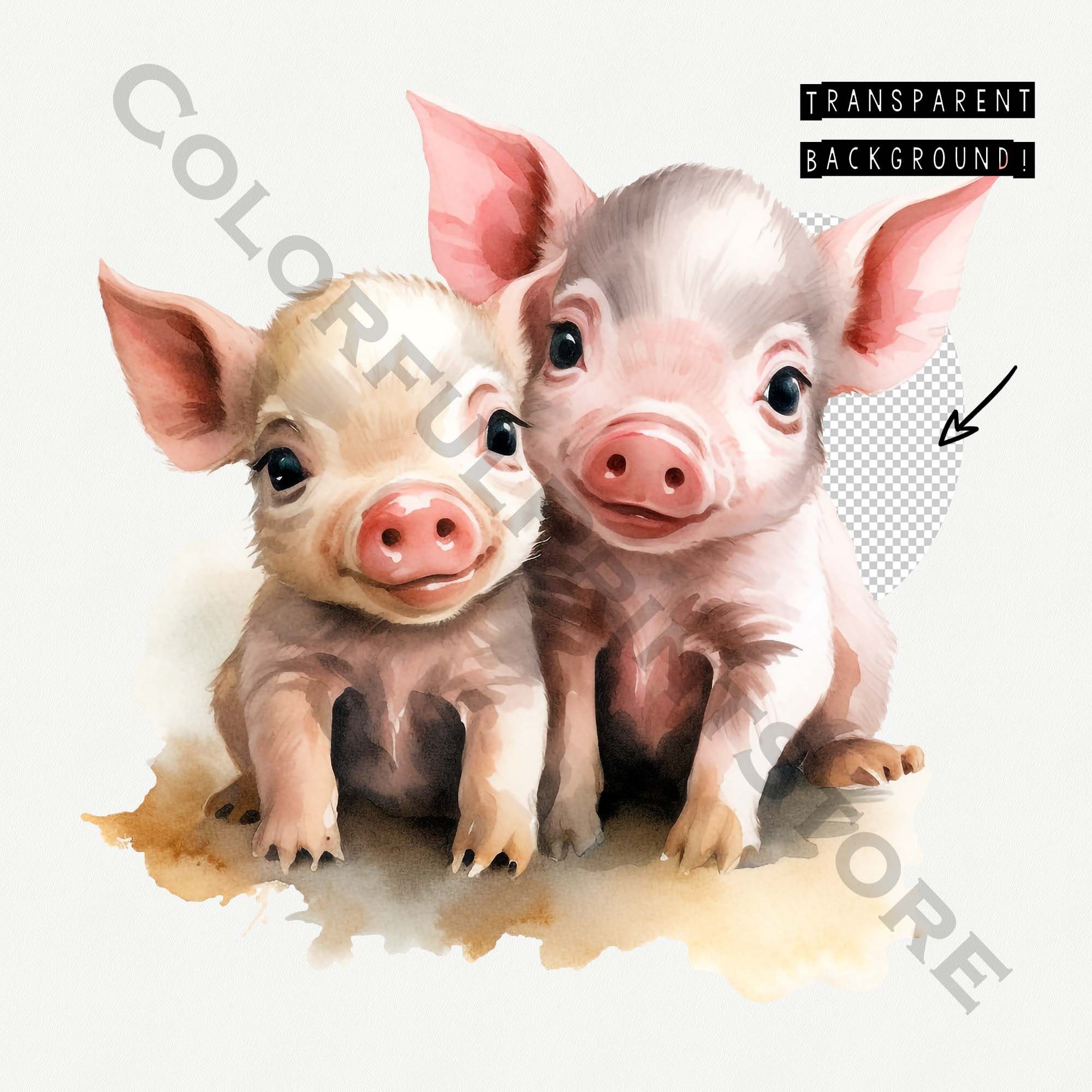 Watercolor Piglet Clipart Set, Watercolor Pig PNG Bundle, Adorable Pig ...