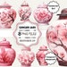 Watercolor Ginger Jar PNG Bundle Pink Ginger Jar Clip Art Ginger Jar ...