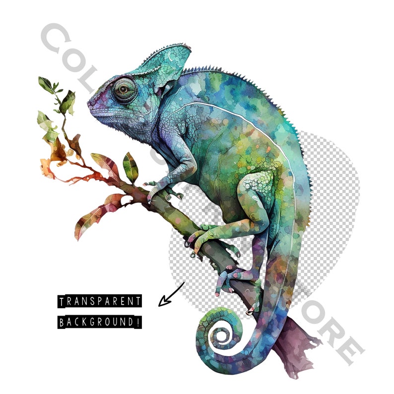 Watercolor Chameleon Clipart Bundle, Colorful Chameleon Print, Aquarell ...