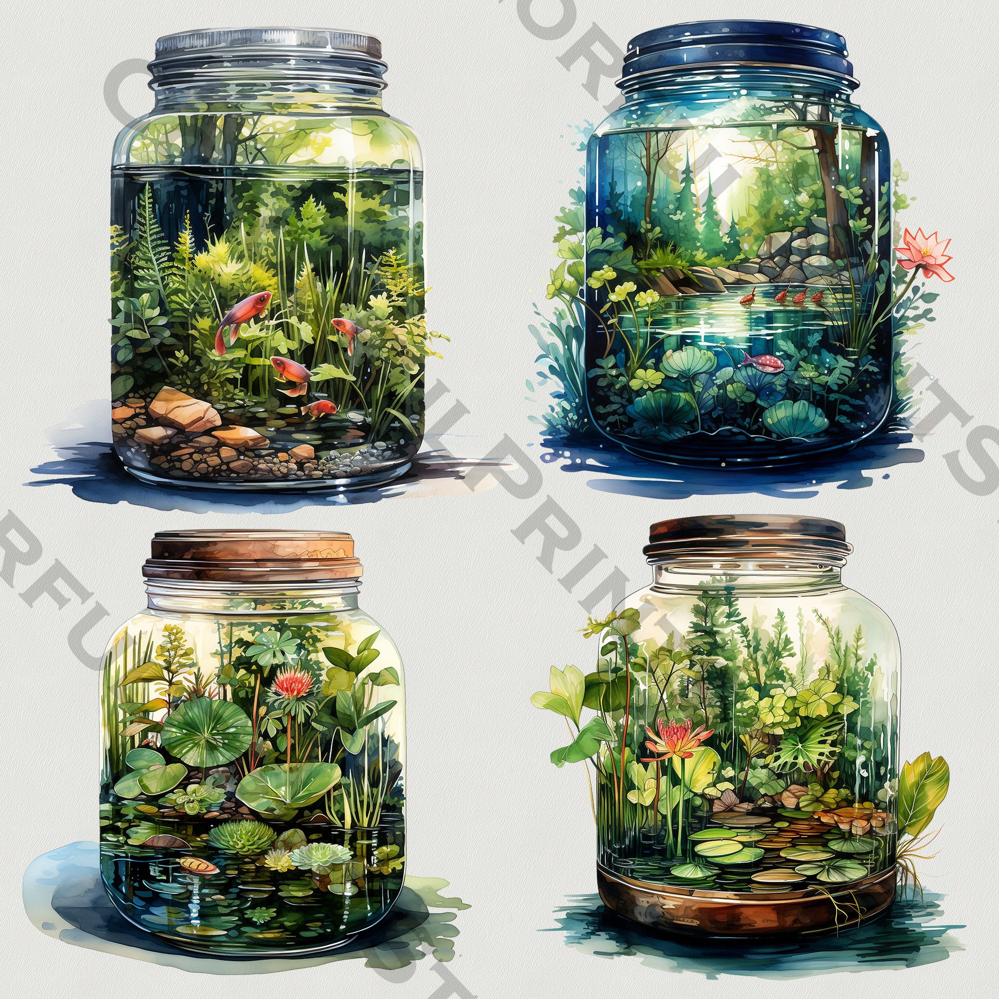 Watercolor Pond Jar Clip Art Bundle Pond in a Jar PNG Watercolor Pond ...