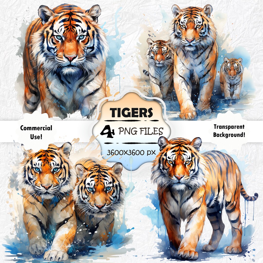 Watercolor Tigers Clipart Bundle, Watercolour Tigers PNG Set ...
