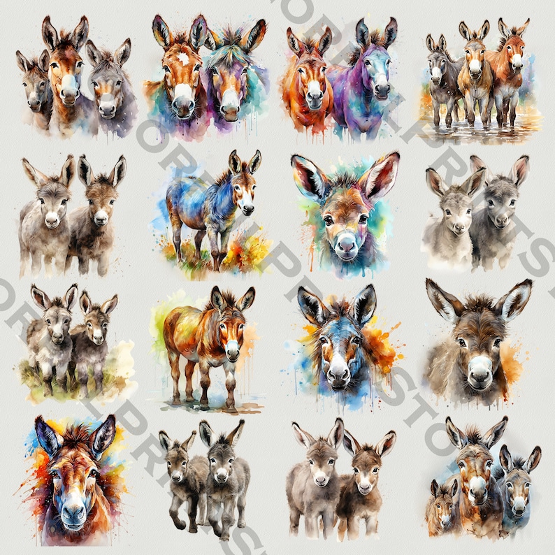 Watercolor Donkey Clipart Bundle Baby Donkey PNG Set Watercolor Donkey Wall Art Donkey Scrapbook ...