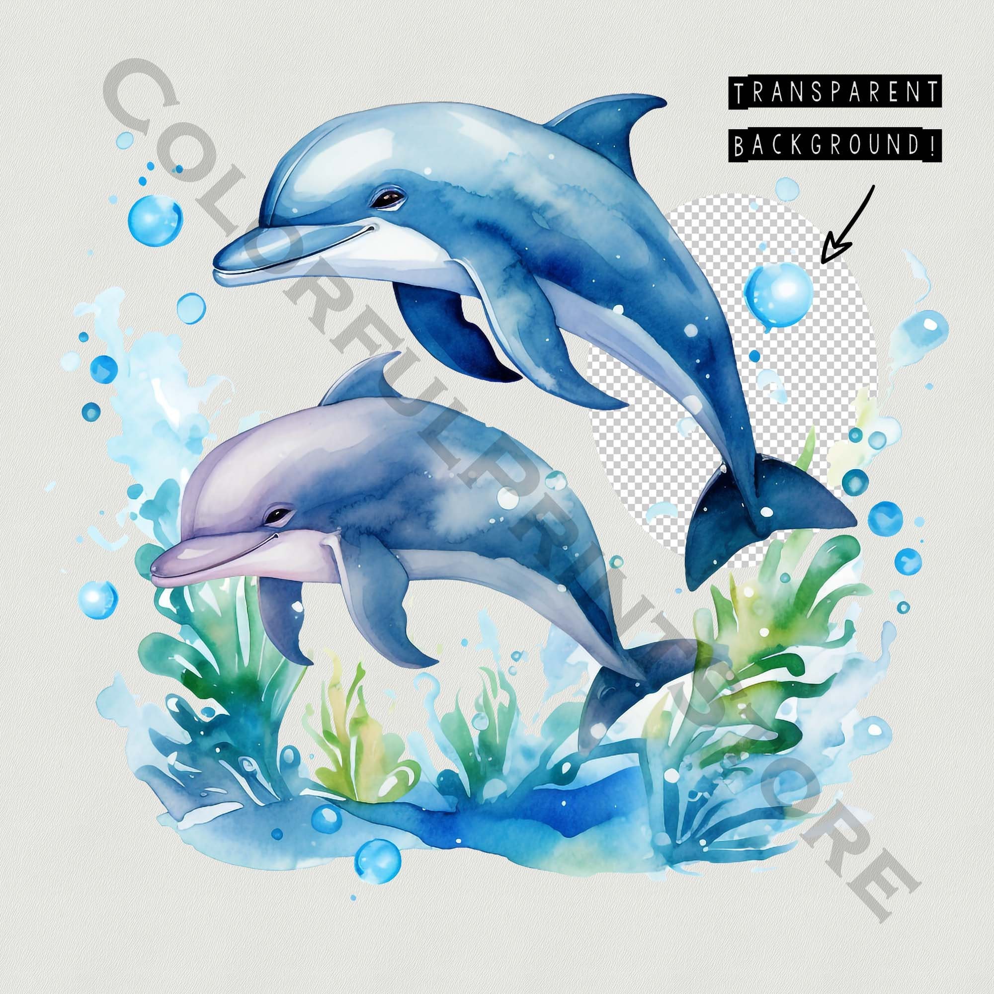 Watercolor Dolphin Clipart Set, Cute Dolphin PNG Bundle, Blue Dolphins ...
