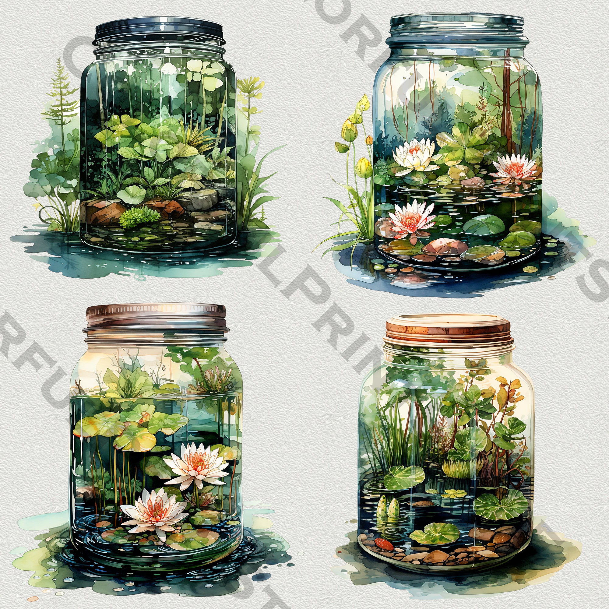 Watercolor Pond Jar Clip Art Bundle Pond in a Jar PNG Watercolor Pond ...