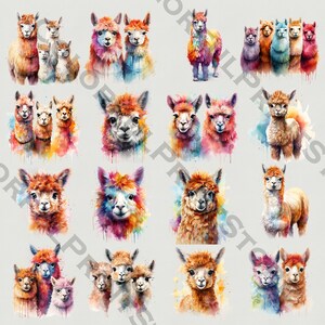 Watercolor Alpaca Clipart Bundle Colorful Alpaca PNG Set Original ...