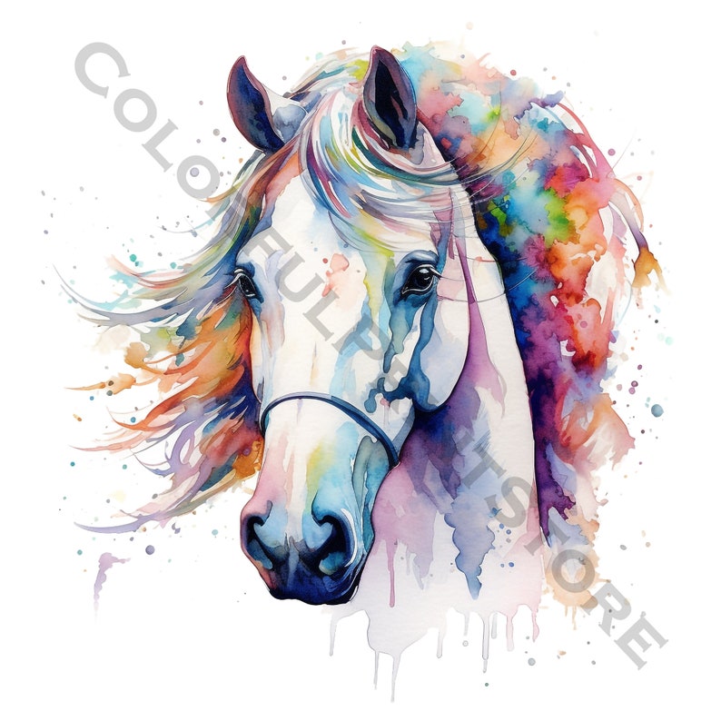Watercolor Rainbow Horse Clipart Horses Print 16 High Quality - Etsy ...