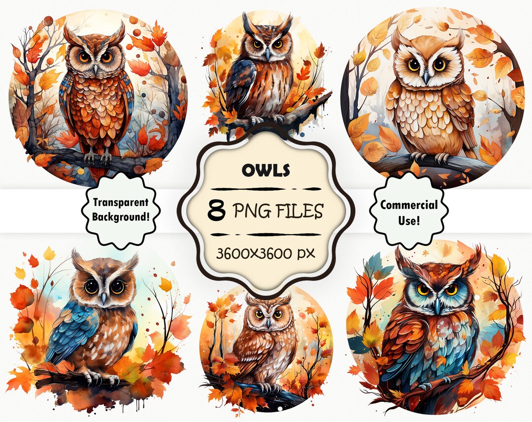 Watercolor Owl Painting, Autumn Owl PNG Set, Cute Owl Print, Baby Owl ...
